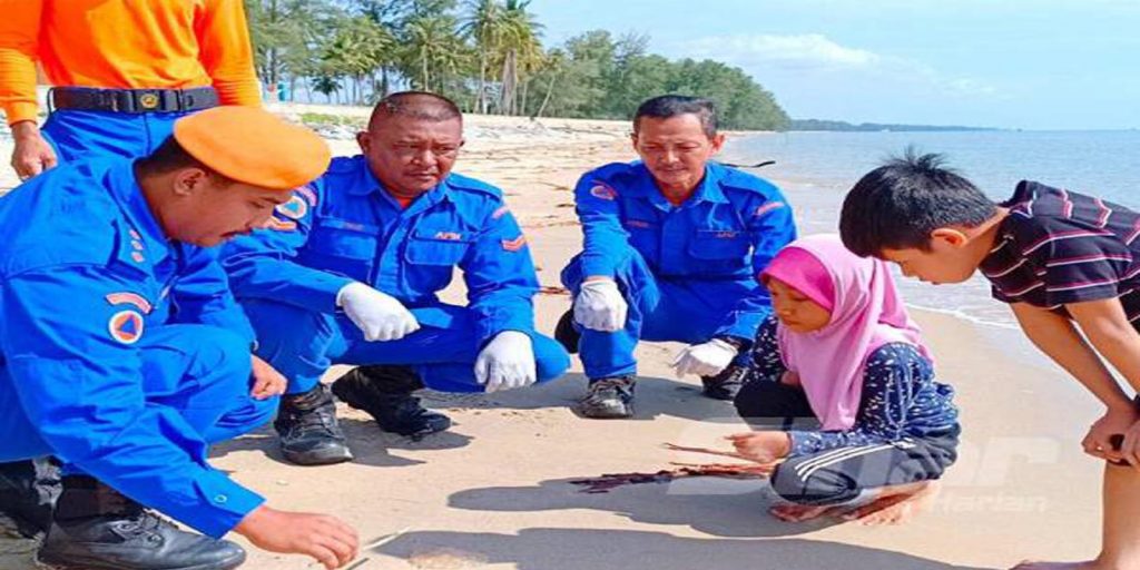 Pantai Tok Bali diserang obor-obor | Makkal Osai - மக்கள் ஓசை
