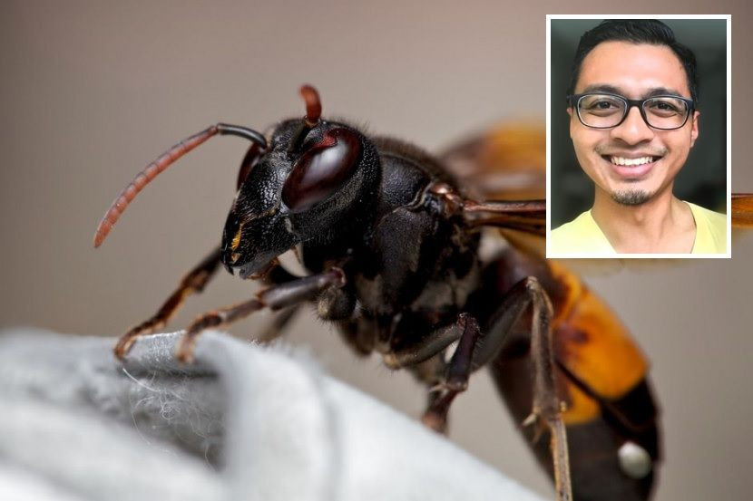 Lelaki maut disengat tebuan tanah | Makkal Osai - மக்கள் ஓசை