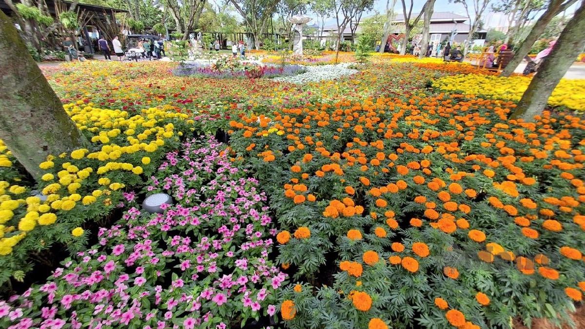 Jualan Pokok bunga Taman Tasik Titiwangsa-Palsu | Makkal Osai - மக்கள் ஓசை